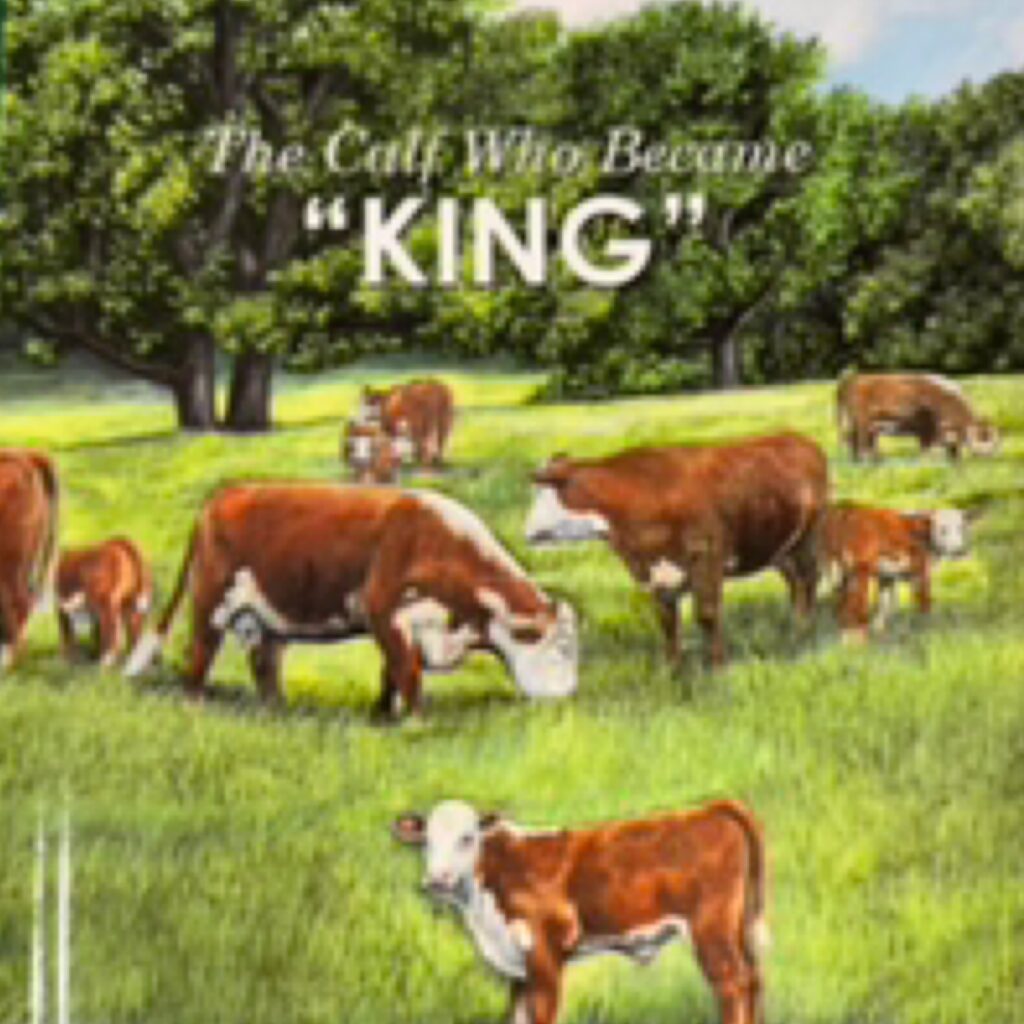 The Calf Who Became King — Children’s Book | The Nut House And Country ...